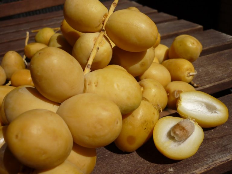 Samani Dates – harexegy